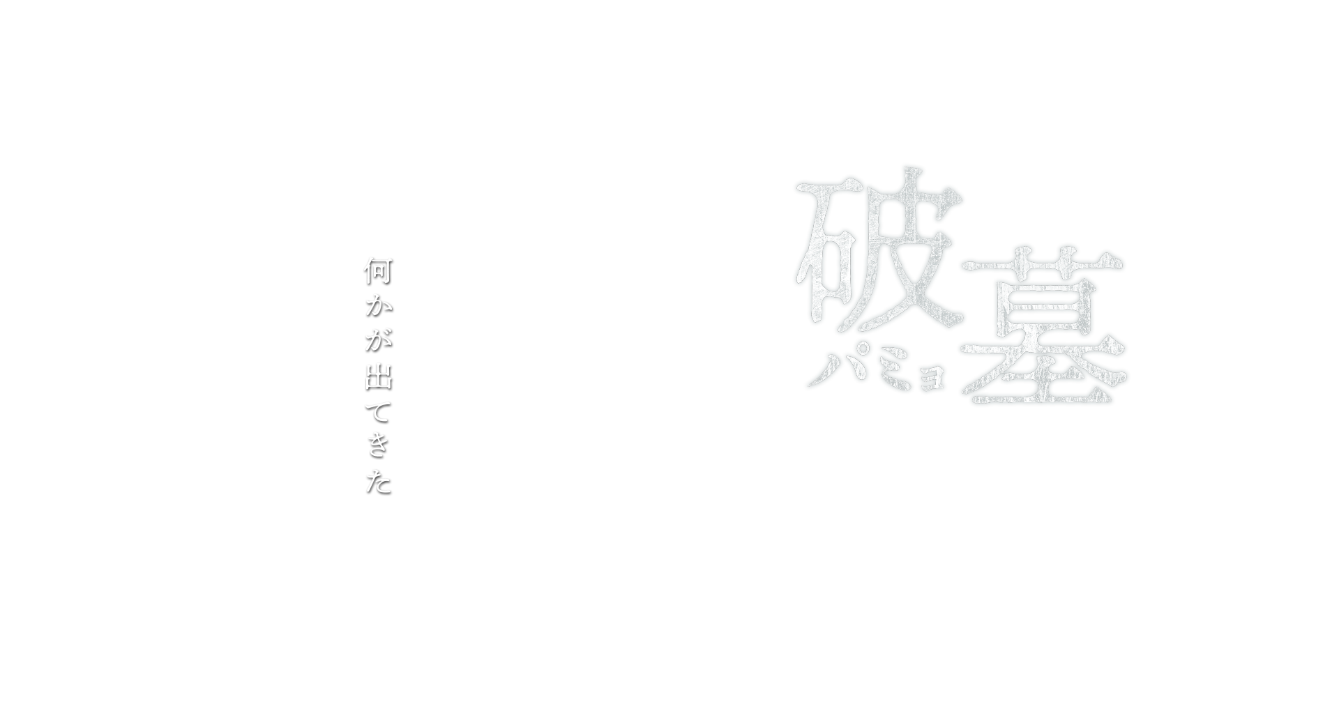 10/18 公開・映画『破墓／パミョ』公式サイト